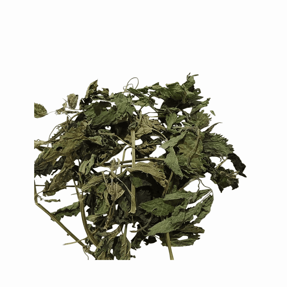 Nettle tops wholesale | Organic & Conventional | Bulk-Supplier Germany ...